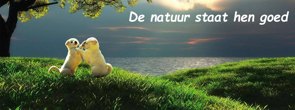 Apotheek van de natuur